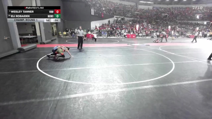 72 lbs Champ. Round 1 - Eli Robaidek, Monona Grove/McFarland Wrestling ...