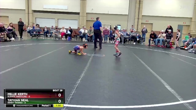 48 lbs Round 7 (8 Team) - Tayvian Neal, Dendy Trained vs Millie Kerth ...