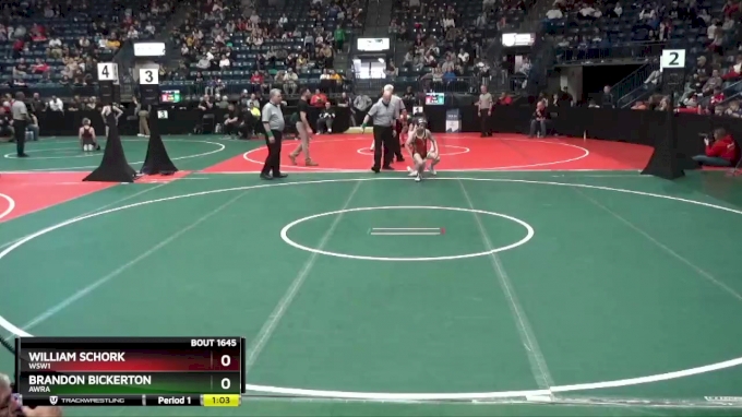 90 lbs 1st Place Match - Brandon Bickerton, AWRA vs William Schork, WSW1