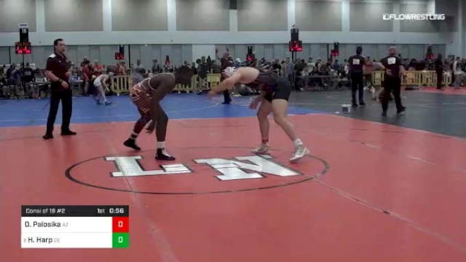 220 lbs Consi Of 16 #2 - David Palosika, AZ vs Hugo Harp, DE