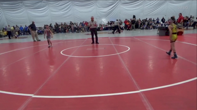 60 lbs Quarterfinal - Hunter Schneider, Coraopols vs Milan Colin ...
