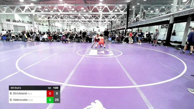 146 lbs Rr Rnd 5 - Brecken Strickland, PA Alliance HS vs Giorgio ...