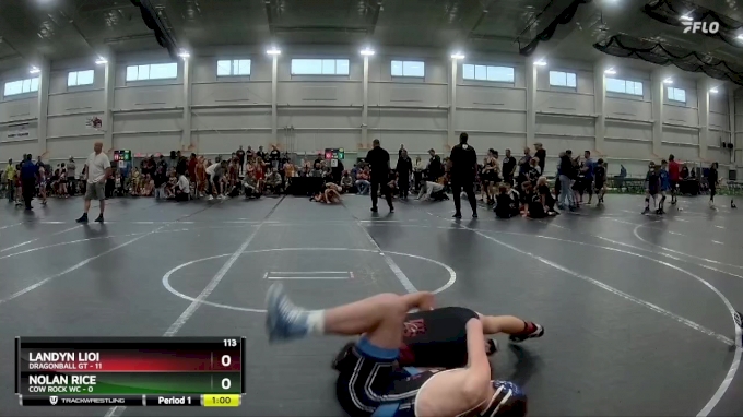 113 lbs Finals (8 Team) - Landyn Lioi, Dragonball GT vs Nolan Rice, Cow ...