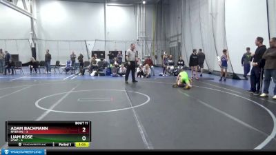 76 lbs Round 4 (6 Team) - Adam Bachmann, River WC vs Liam Rose, LCWC