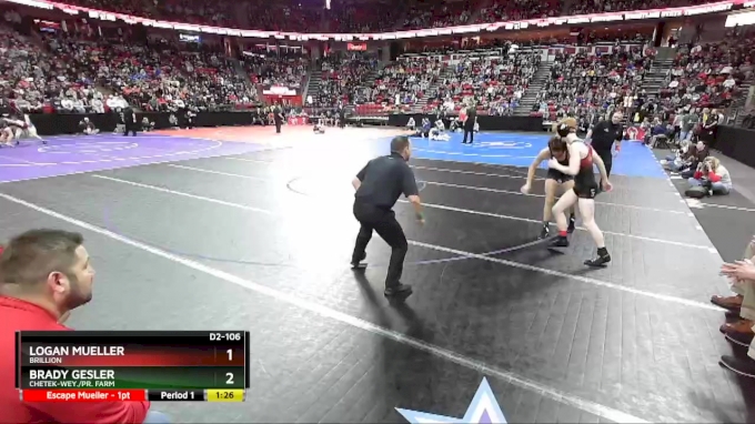 D2-106 lbs Semifinal - Logan Mueller, Brillion vs Brady Gesler, Chetek ...