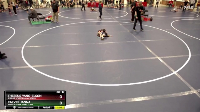 3rd Place Match - Calvin Hanna, No Nonsense Wrestling vs Theseus Yang ...