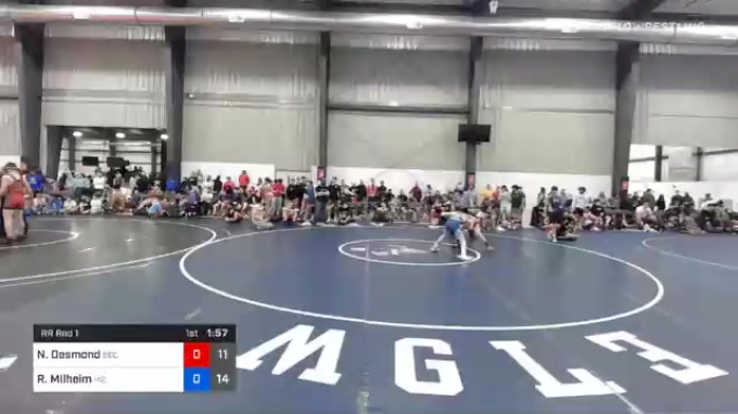 48 kg Prelims - Nathan Desmond, Beca Gold vs Reagan Milheim, M2 Black