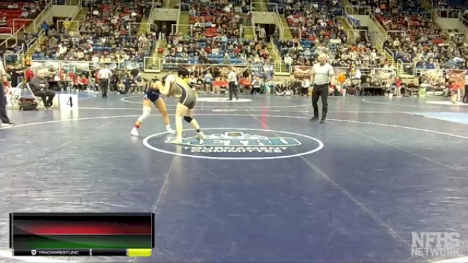 118 lbs Champ. Round 1 - Ella Wald, Bismarck Century vs Ava Owens, Fargo