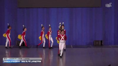 Dance Dynamics - Mini Elite Large Pom [2026 Mini - Premier - Pom ...