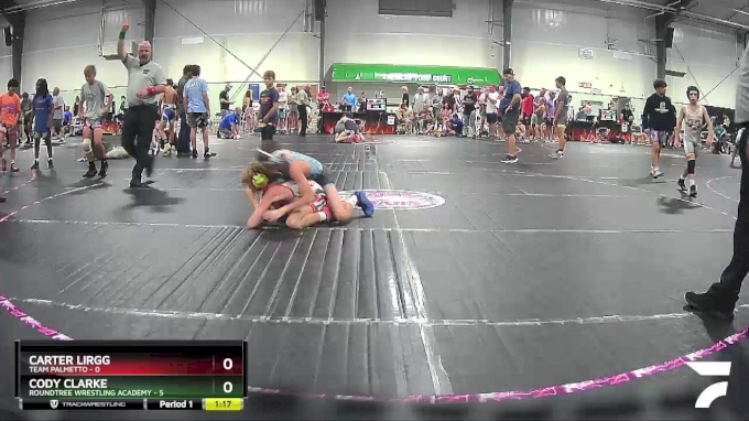 85 lbs Placement (4 Team) - Carter Lirgg, Team Palmetto vs Cody Clarke ...