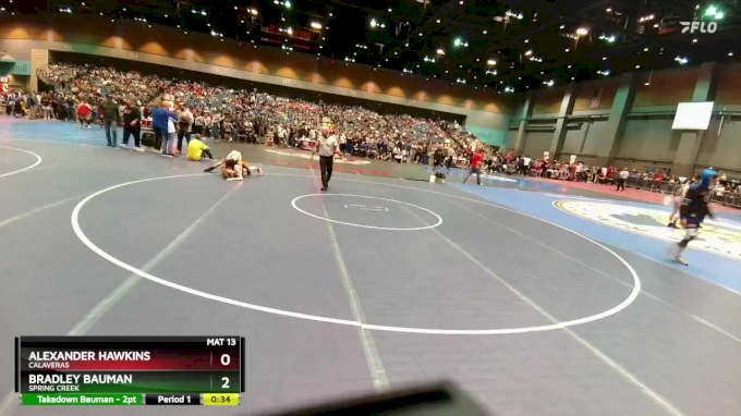 113 lbs Cons. Round 2 - Bradley Bauman, Spring Creek vs Alexander ...