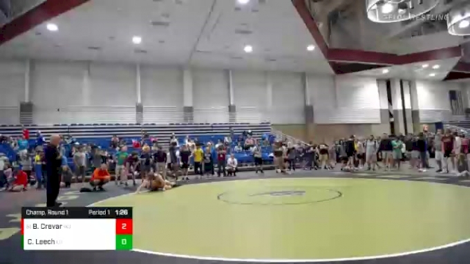 163 lbs Champ. Round 1 - Brian Crevar, Walsh Jesuit vs Chase Leech, Garrett