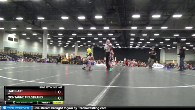 45 lbs 1st Place Match - Liam Gatt, GA vs Montagne Melstrand, WI