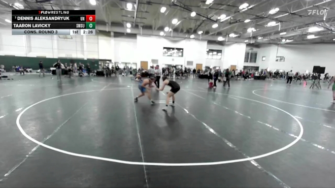 165 lbs Cons. Round 3 - Taaron Lavicky, Southwest Minnesota State vs ...