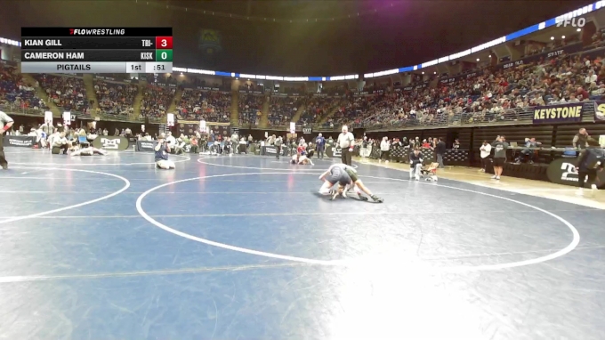 124 lbs Pigtails - Kian Gill, Tri-Valley vs Cameron Ham, Kiski Area