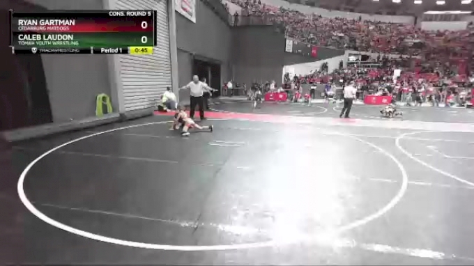 72 lbs Cons. Round 5 - Ryan Gartman, Cedarburg Matdogs vs Caleb Laudon ...