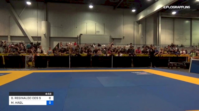 DOUGLAS REGINALDO DOS SANTOS vs MICHAEL HAGL 2019 World Master IBJJF ...