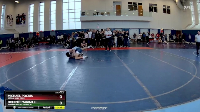 132 lbs Prelim - Michael Pocius, Seton Hall Prep vs Dominic Marinilli ...