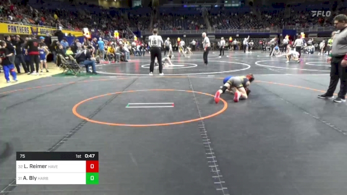75 lbs Rd 1 - Consi Of 32 #2 - Luke Reimer, Haverford vs Anthony Bly ...