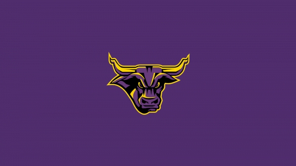 Minnesota State