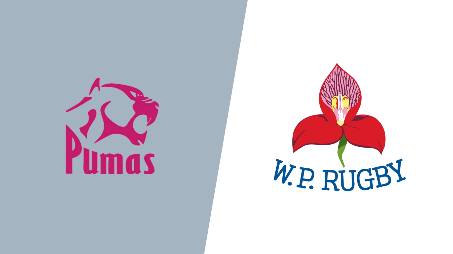 2022 Pumas vs Western Province - Rugby Event - FloRugby
